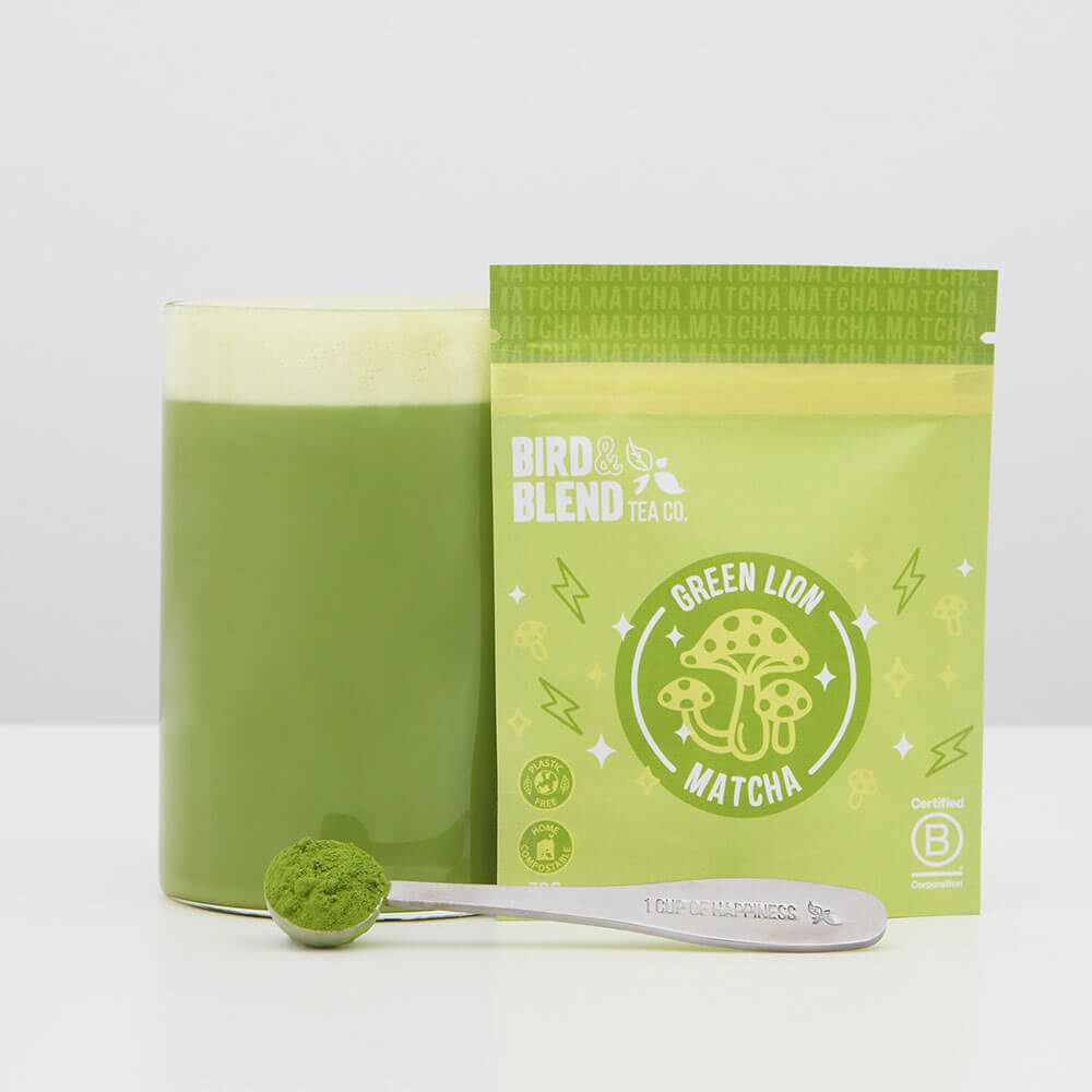 Green Lions Mane Mushroom Matcha | Bird & Blend Tea Co.